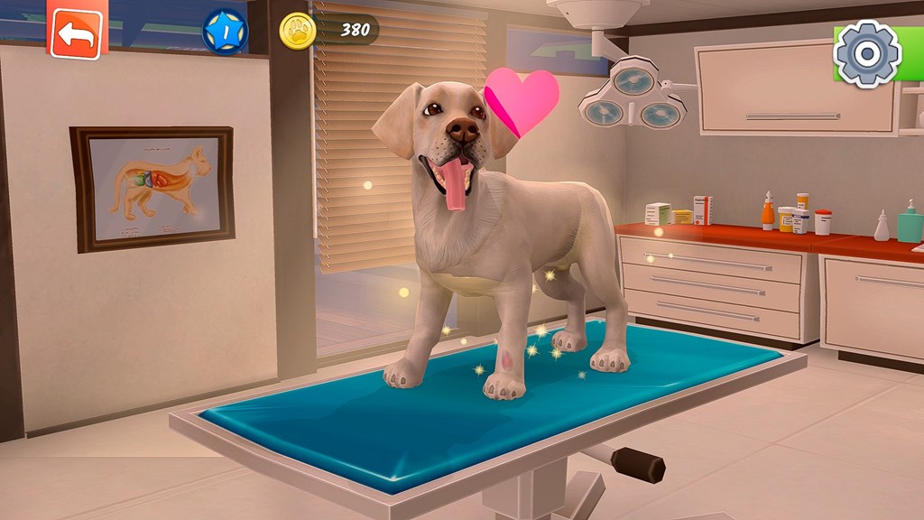 Rent Animal Hospital on Nintendo Switch | GameFly