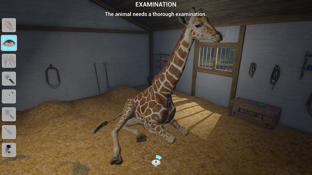 Rent My Vet Practice in the Zoo on PlayStation 5 | GameFly
