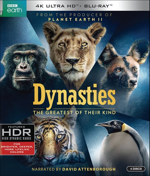 Rent Dynasties: The Greatest of Their Kind on 4K UHD | GameFly